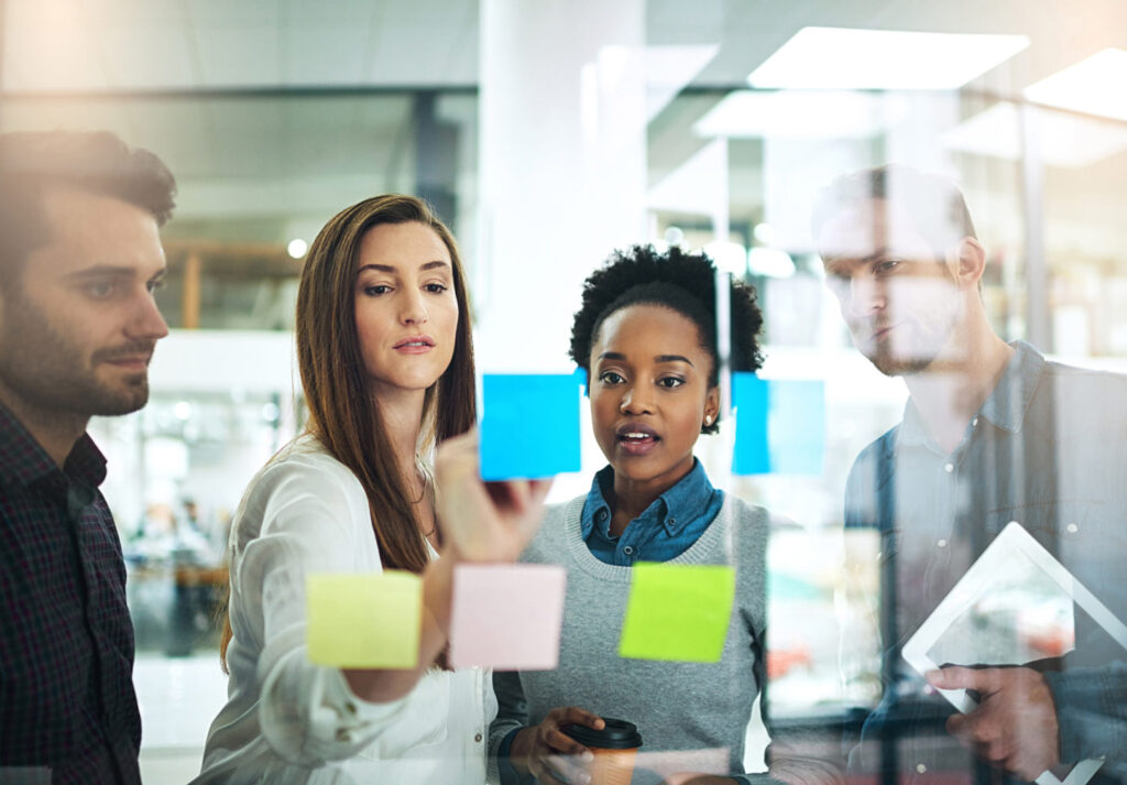 Business and Professional Skills – BLR