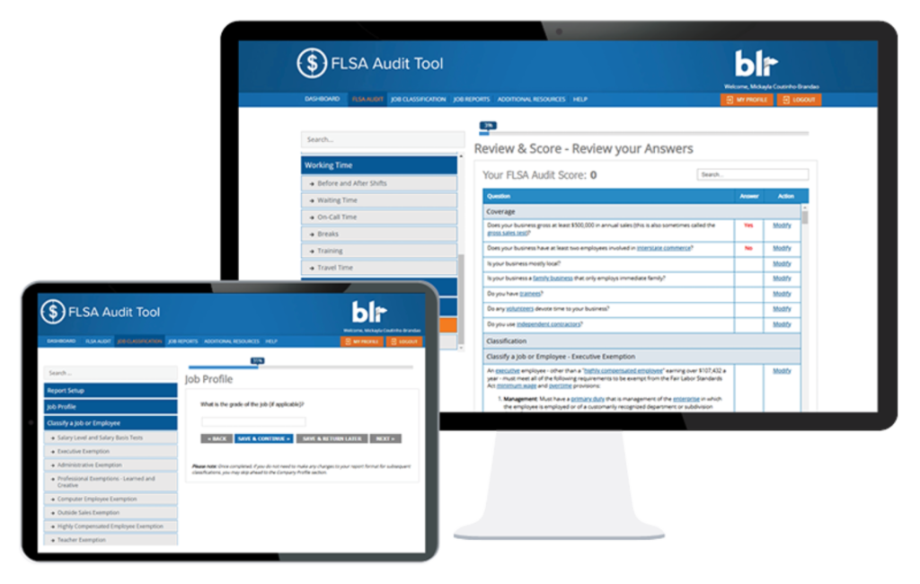 Job Classification & FLSA Audit Tool – BLR