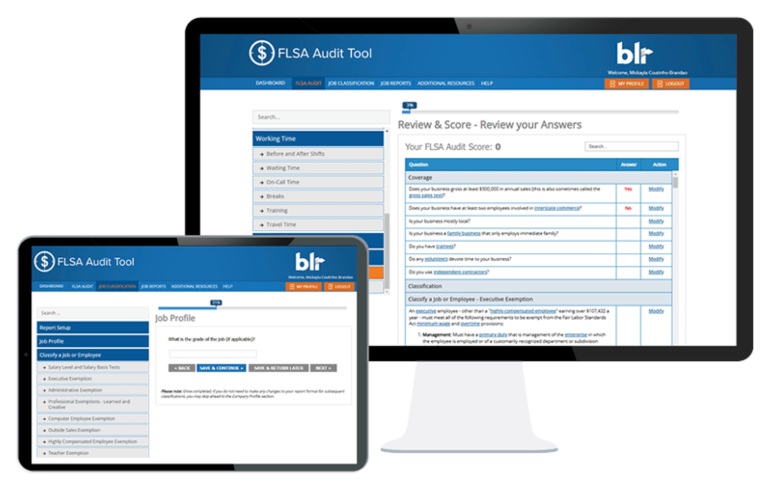 Job Classification & FLSA Audit Tool – BLR