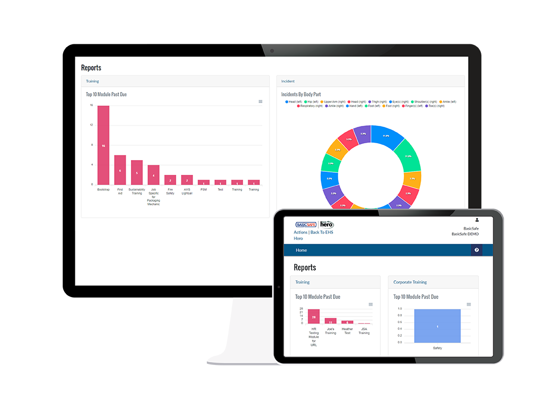 Reporting Insights – BLR